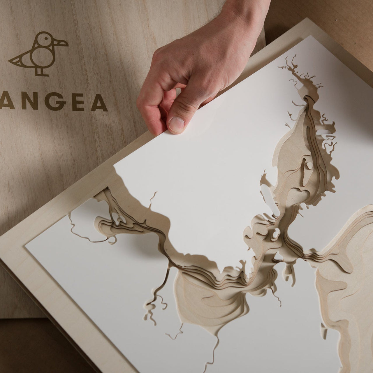 3D Map of Brunswick County, NC, USA – Pangea Maps